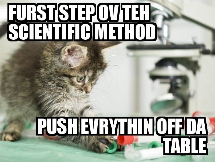 Empirical Evidence Memes